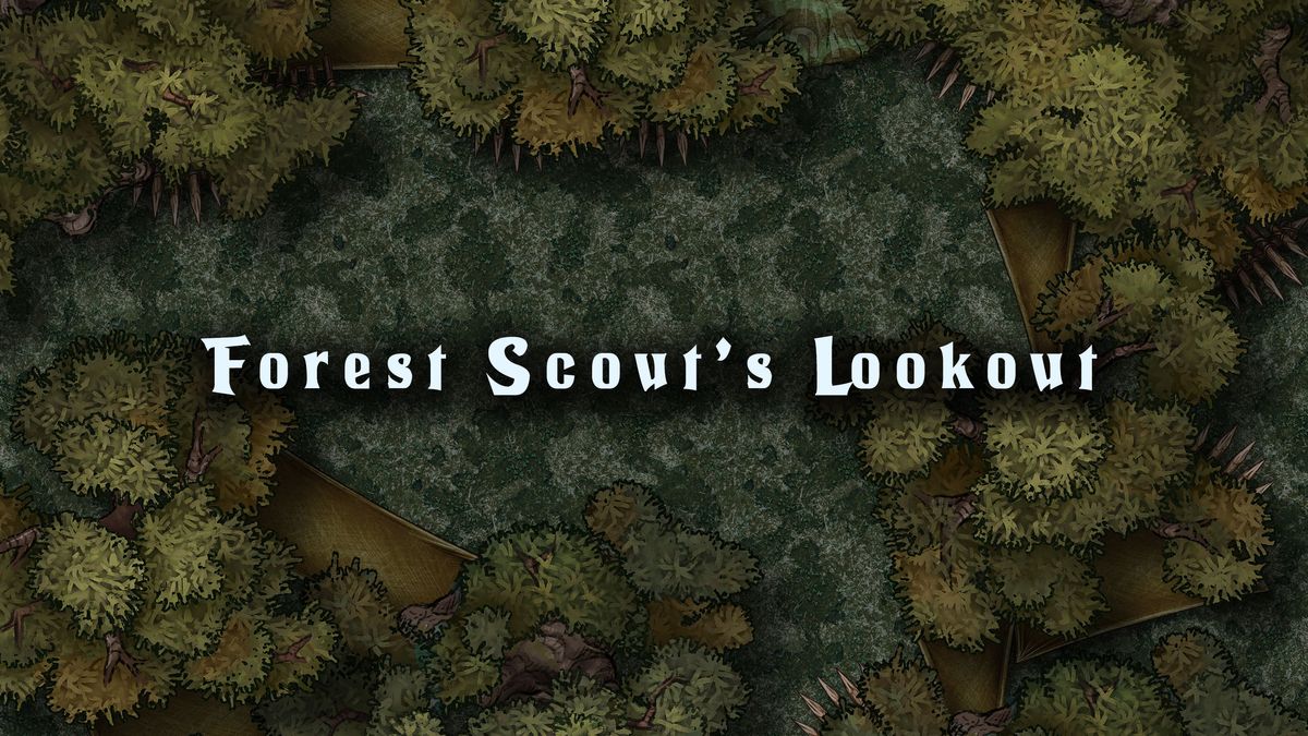 Any world forest scout's lookout